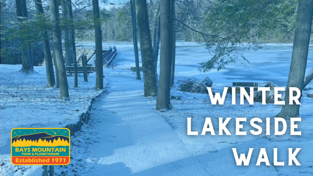 Winter Lakeside Walk - Bays Mountain Park and Planetarium