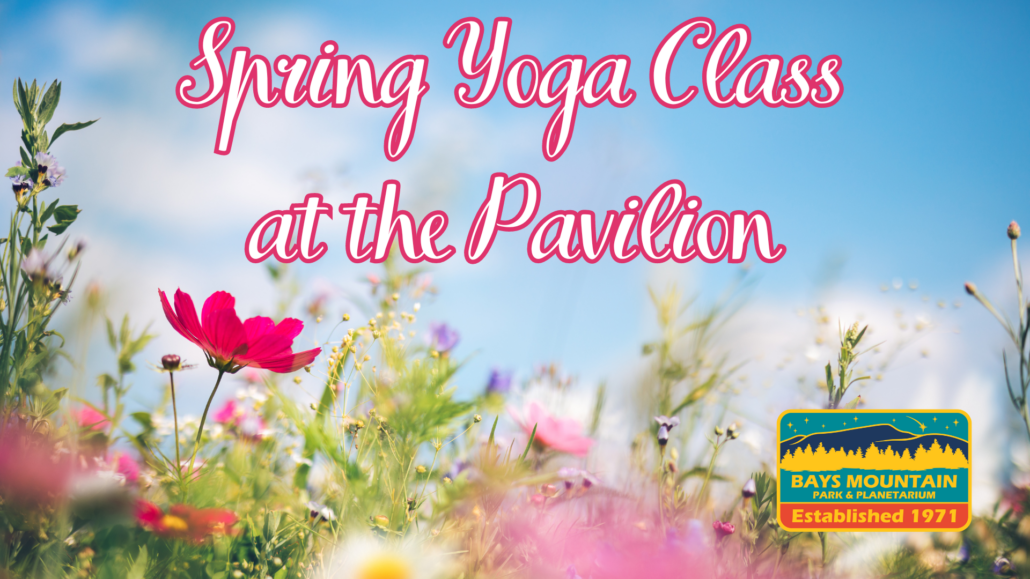 Spring Yoga Class at the Pavilion - Bays Mountain Park and Planetarium