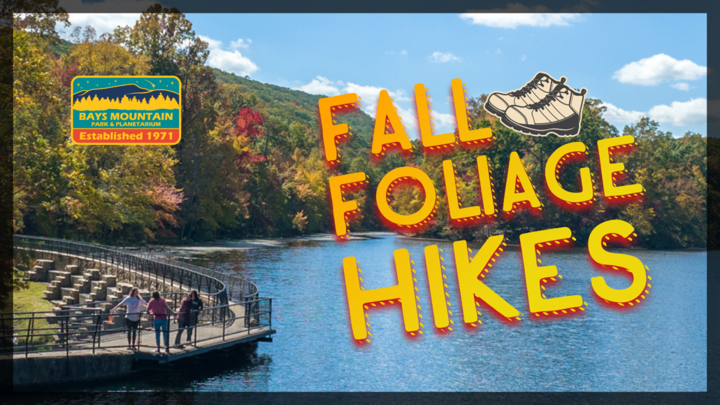 Nature Program - Fall Foliage Hike - Bays Mountain Park and Planetarium